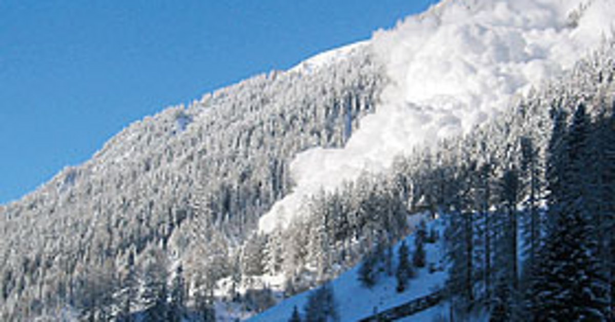 The pulsing nature of powder snow avalanches