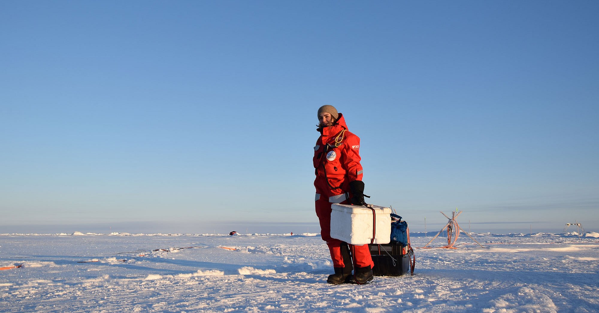 Sledges and polar bears
