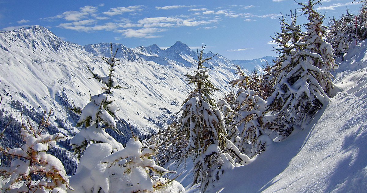 SLF Einblicke – Öffentliche Vorträge am SLF